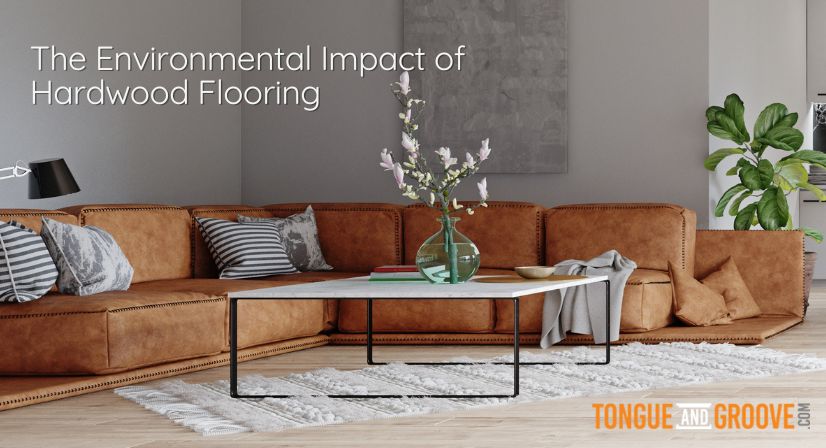 Environmental Impact of Hardwood Flooring | Best Wood Floors